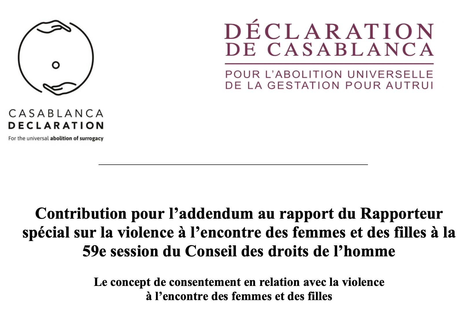 The Casablanca Declaration sends two reports to Reem Alsalem, UN ...